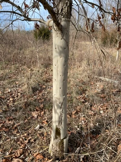 Calendar — Antietam-Conococheague Watershed Alliance