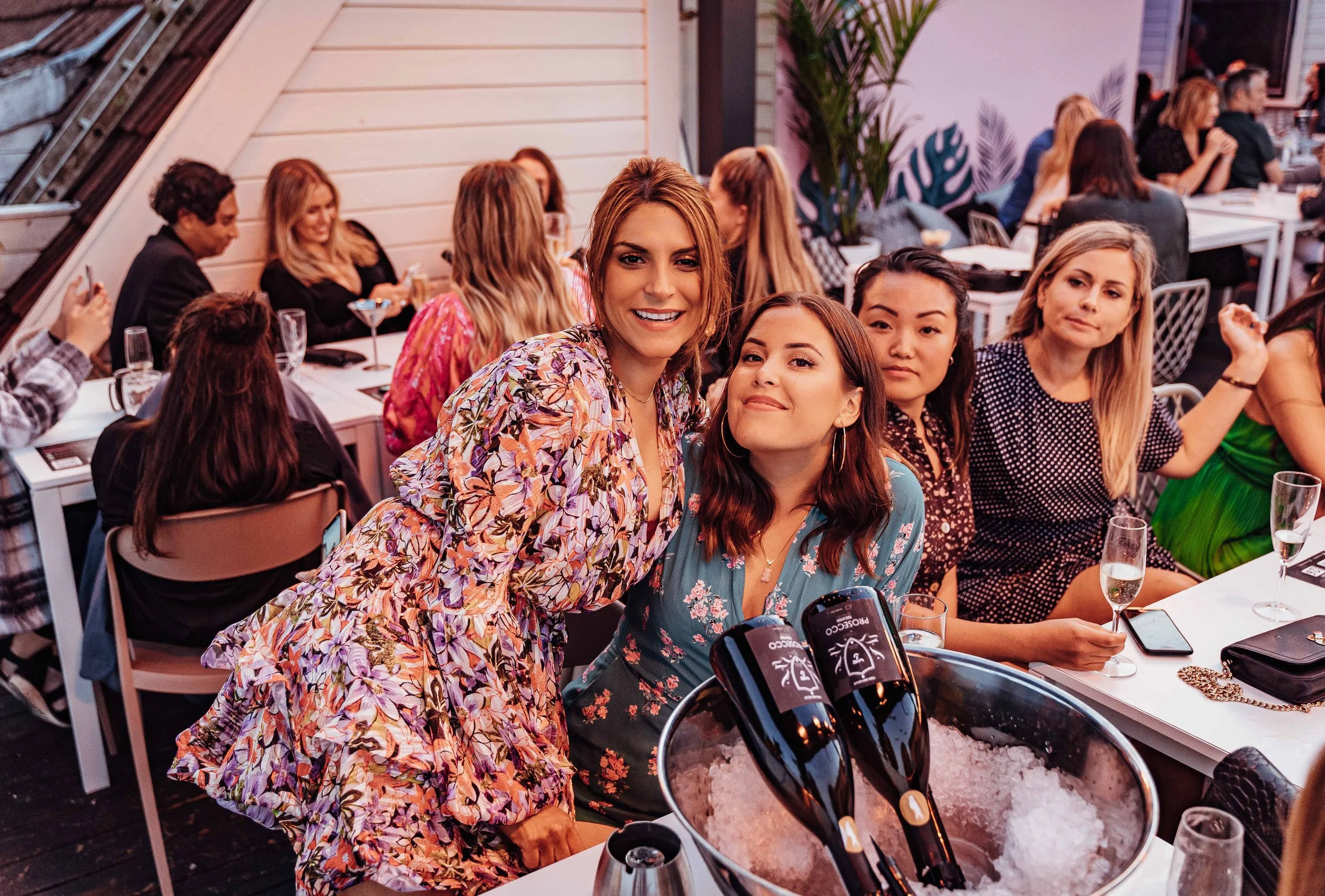 The Rooftop — Tom And Lello