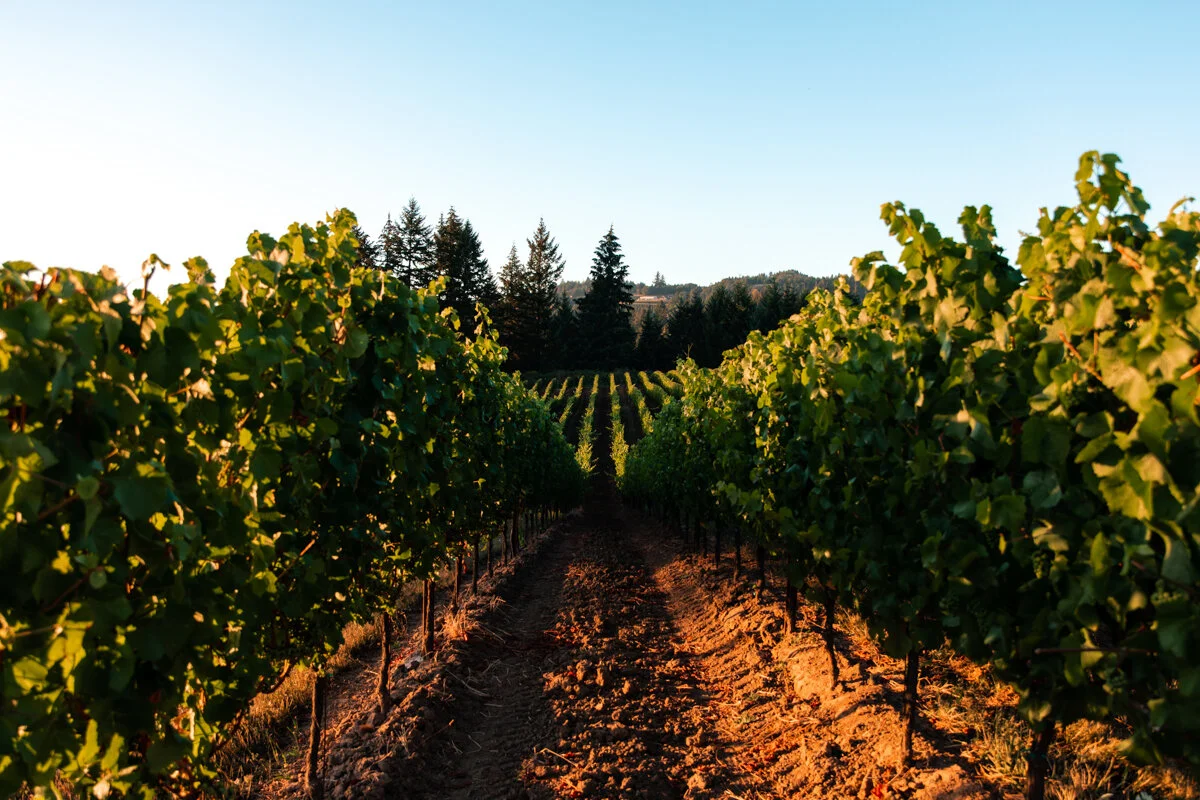 Unique Stay: AtTheJoy in the Willamette Valley's Eola Amity Hills ...