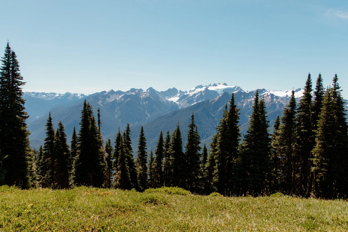 The Ultimate Guide to Backpacking the High Divide Loop (Seven Lakes ...