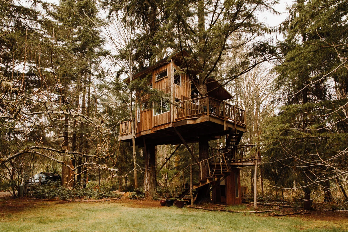 Unique Stay: The Squirrel's Nest. Add This Washington Treehouse Airbnb ...