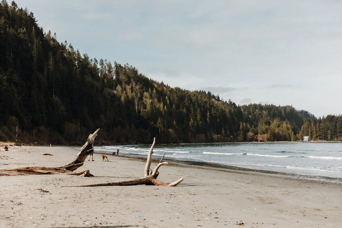 How to Snowboard and Surf in the Same Day in Washington — Wander in RAW