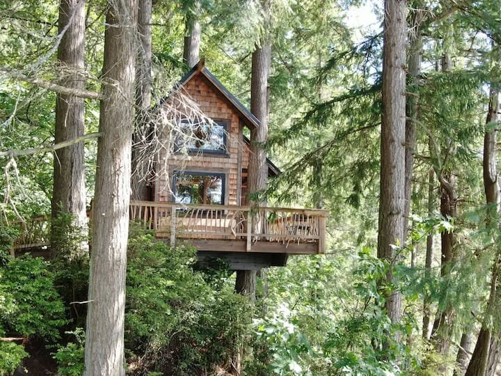 20 Pacific Northwest Tree House Rentals to Book Now — Wander in RAW