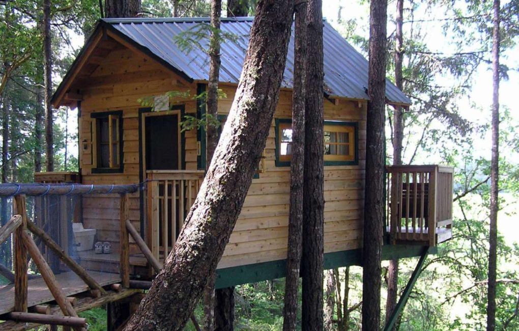 20 Pacific Northwest Tree House Rentals to Book Now — Wander in RAW