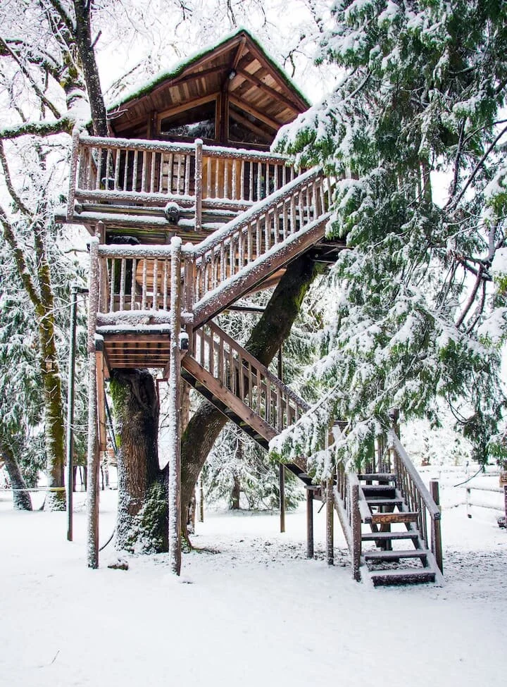 20 Pacific Northwest Tree House Rentals to Book Now — Wander in RAW