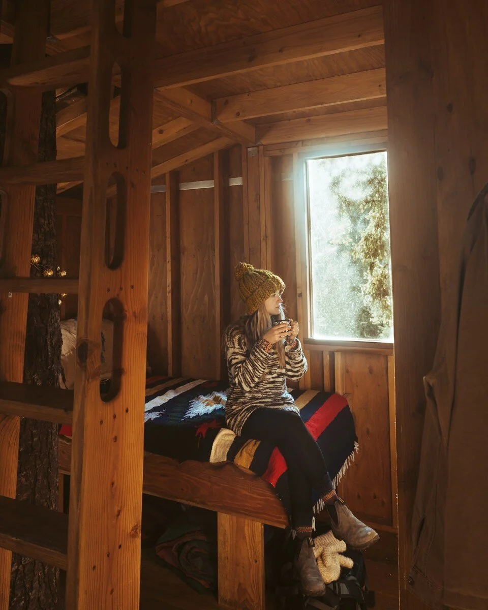 20 Pacific Northwest Tree House Rentals to Book Now — Wander in RAW