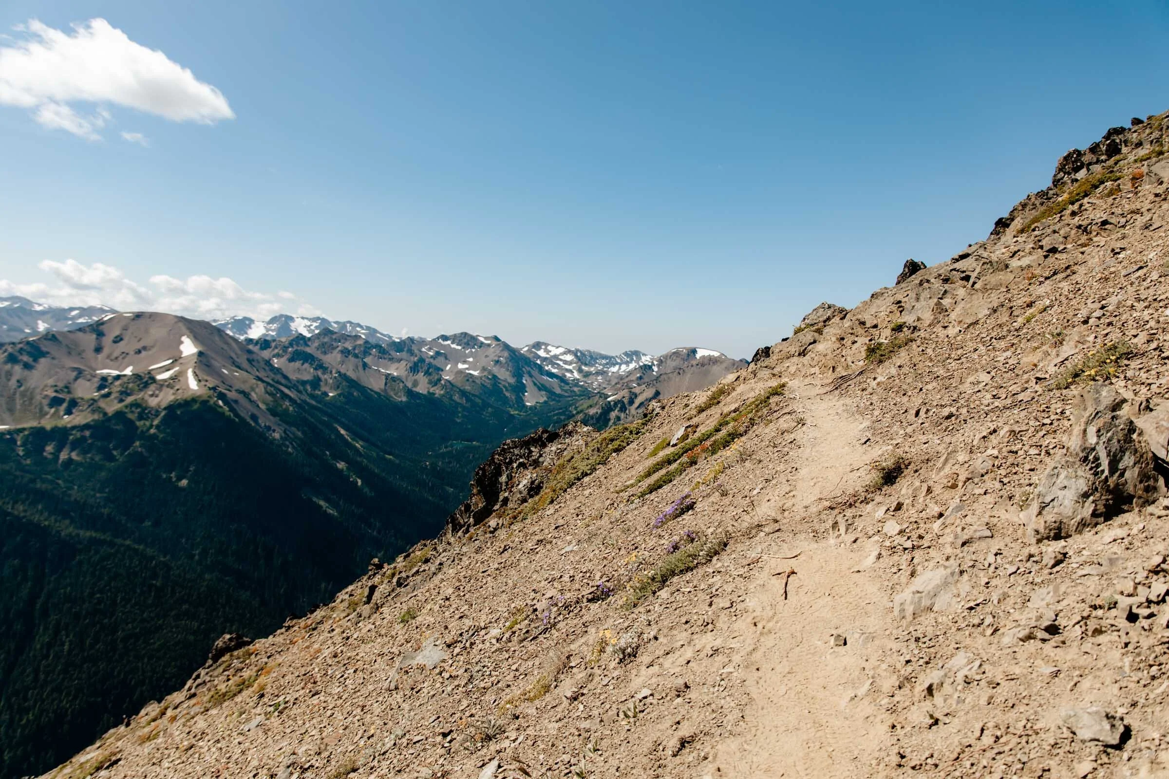 Grand Ridge Trail: Backpacking One of Olympic National Park’s Best ...