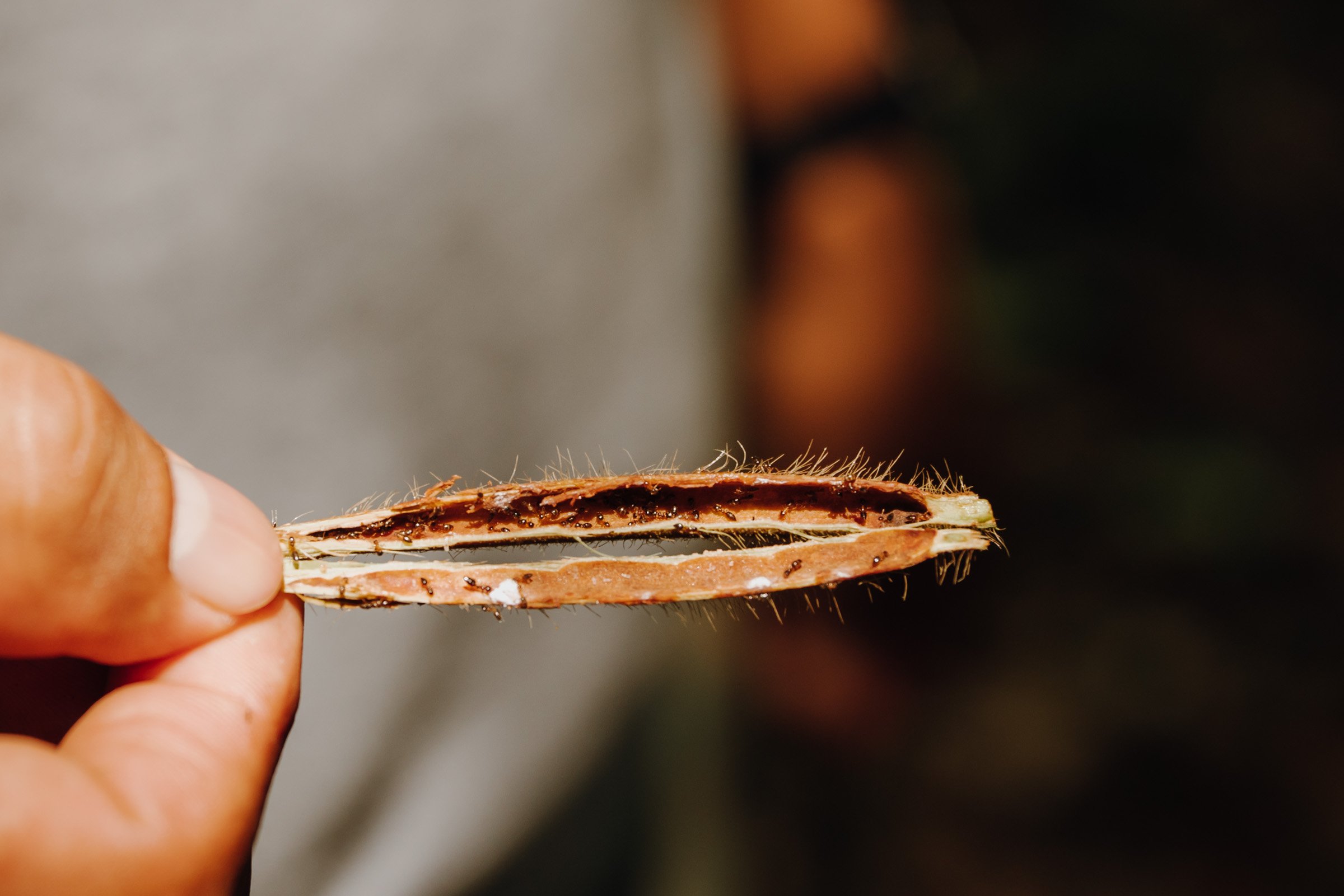 Cuyabeno: The Wildlife Reserve in Ecuador's Amazon You Don't Want to ...