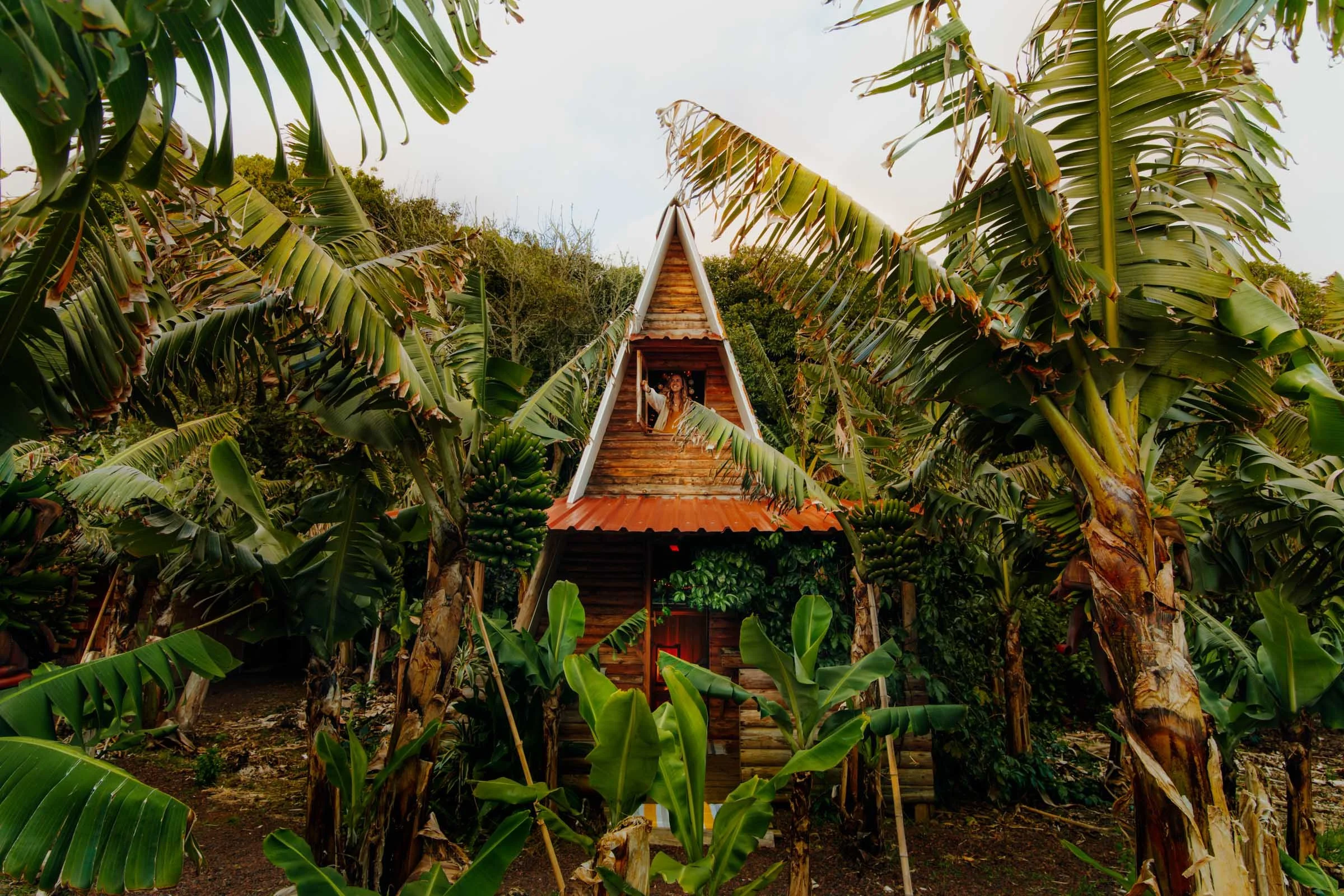 Unique Stay: Add the Banana Eco Camp to Your Glamping Airbnb Must List ...
