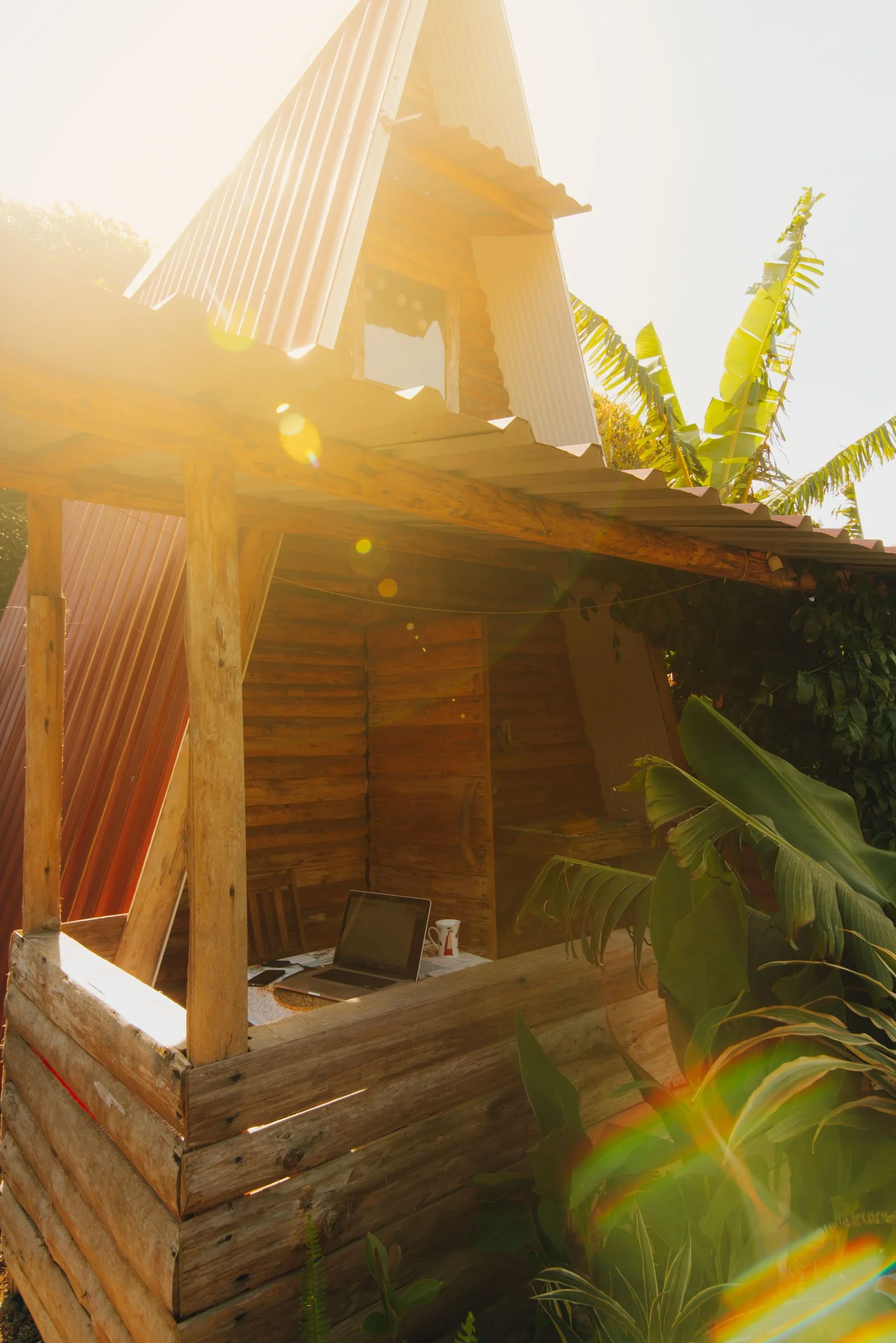 Unique Stay: Add the Banana Eco Camp to Your Glamping Airbnb Must List ...