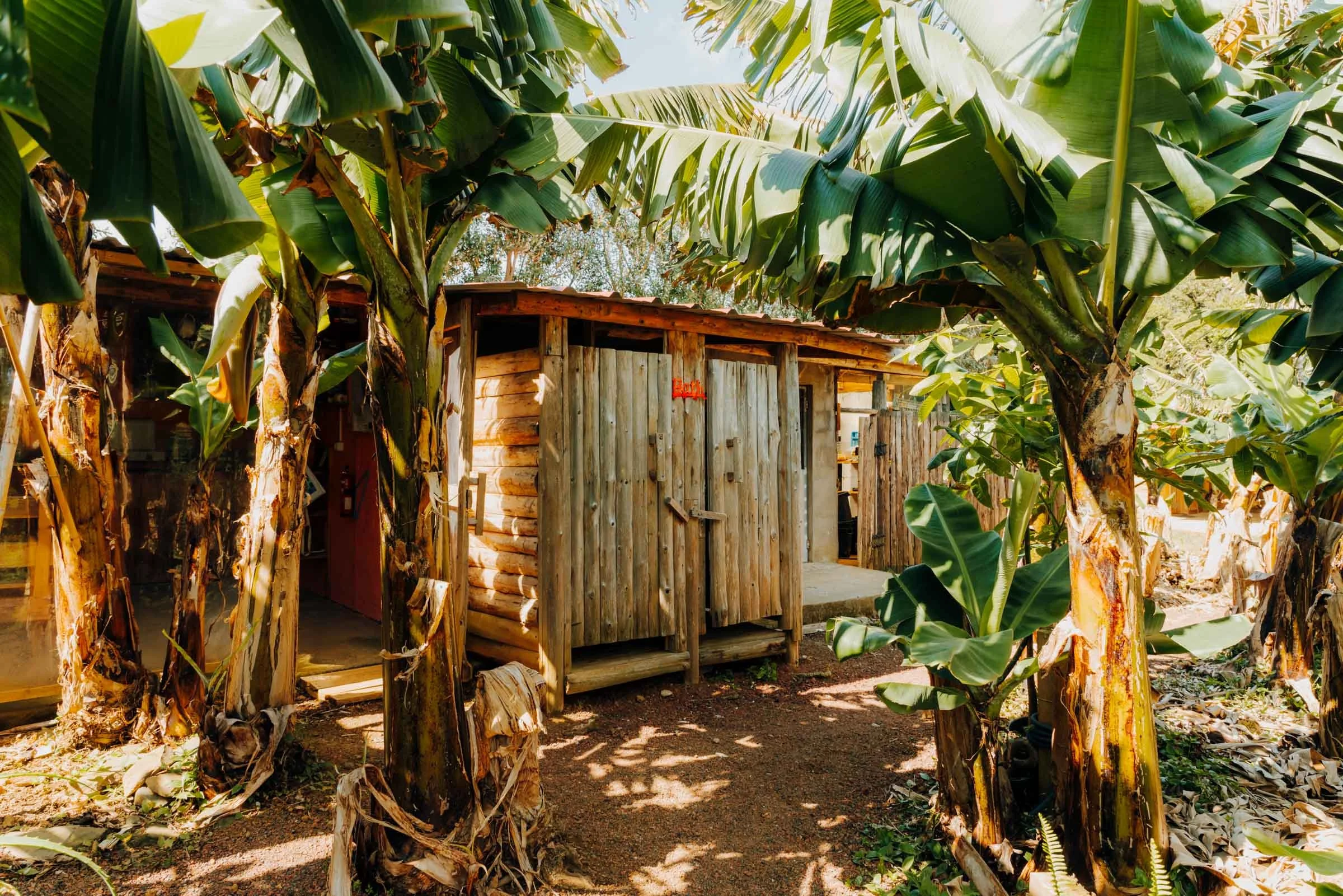 Unique Stay: Add the Banana Eco Camp to Your Glamping Airbnb Must List ...