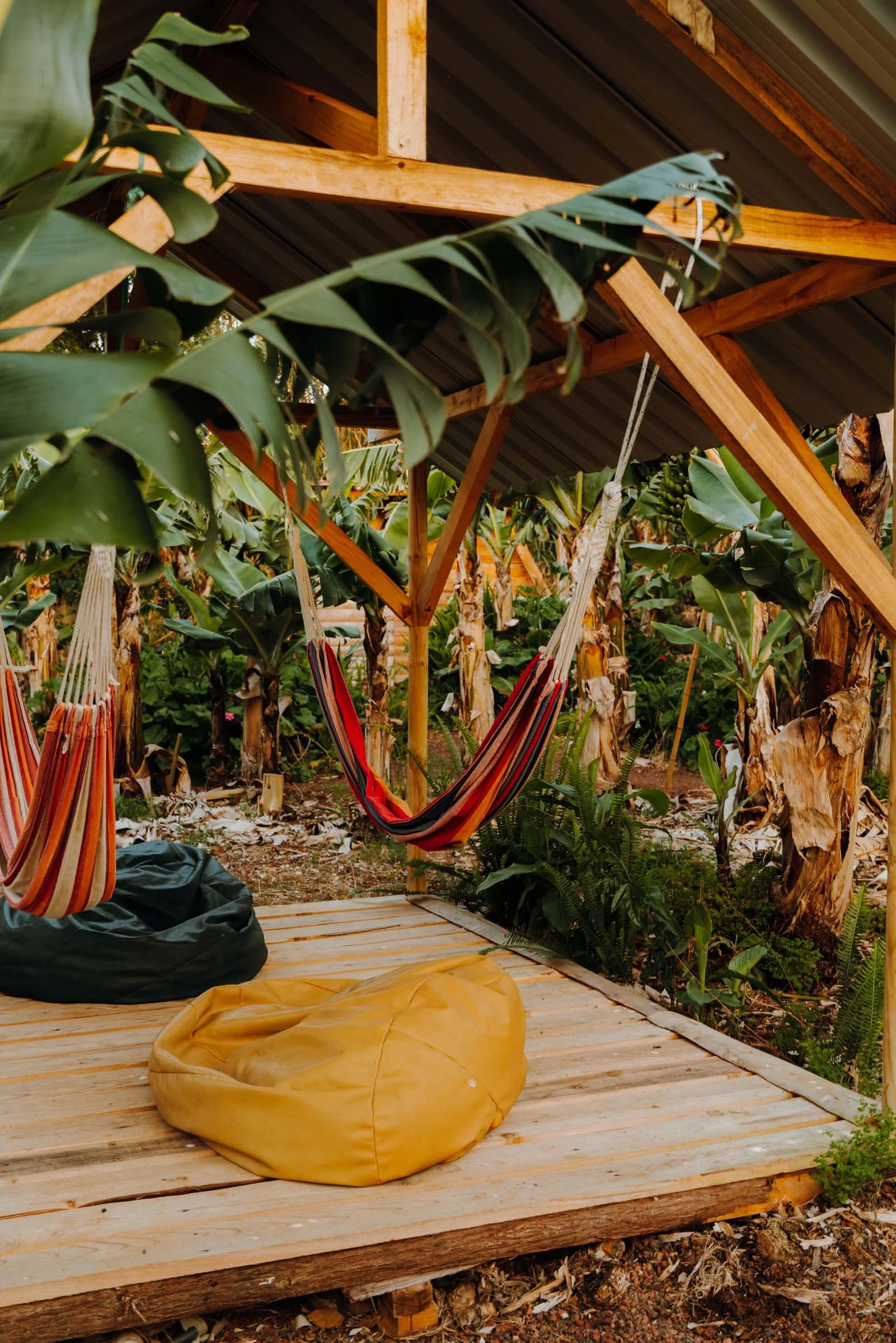 Unique Stay: Add the Banana Eco Camp to Your Glamping Airbnb Must List ...