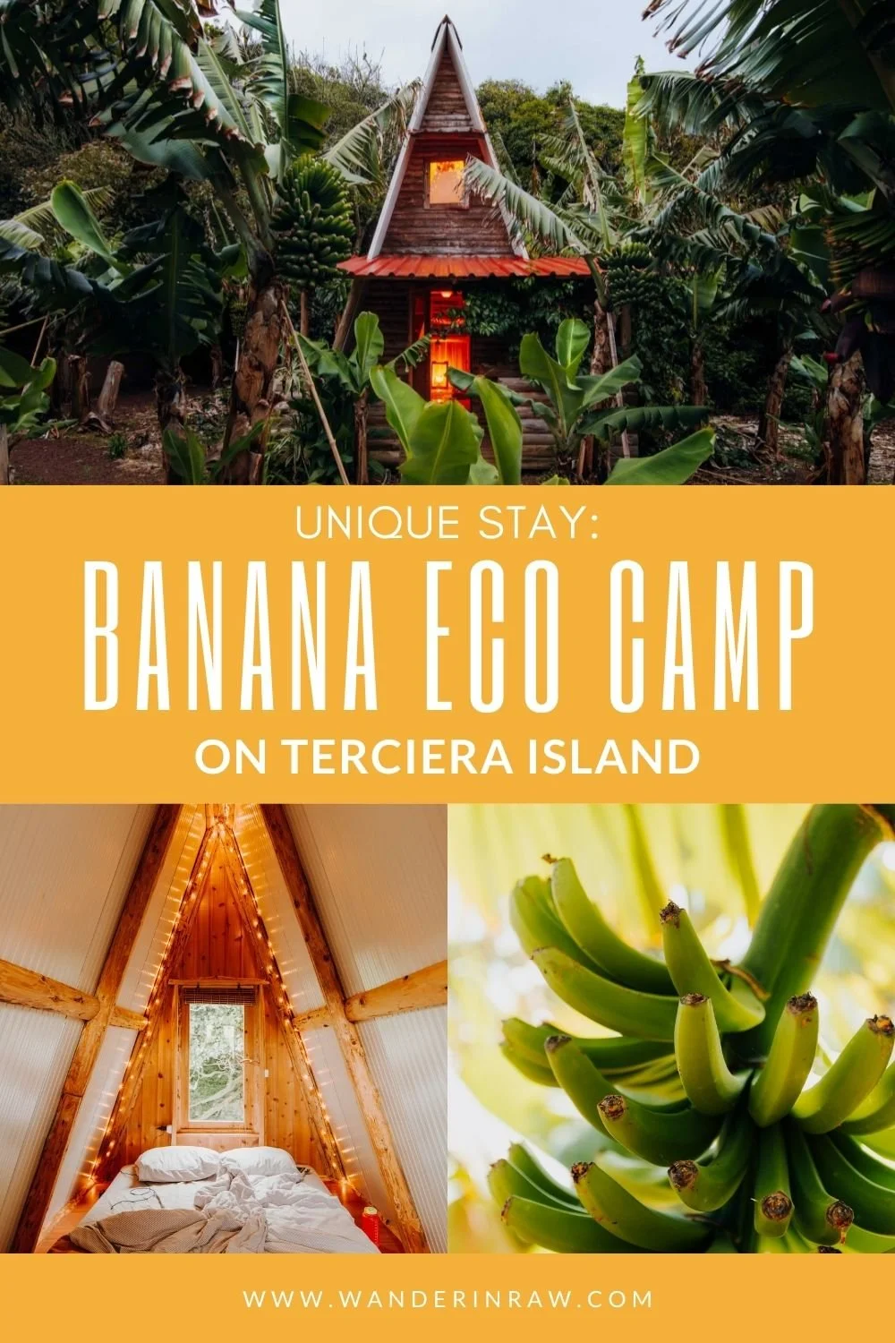 Unique Stay: Add the Banana Eco Camp to Your Glamping Airbnb Must List ...