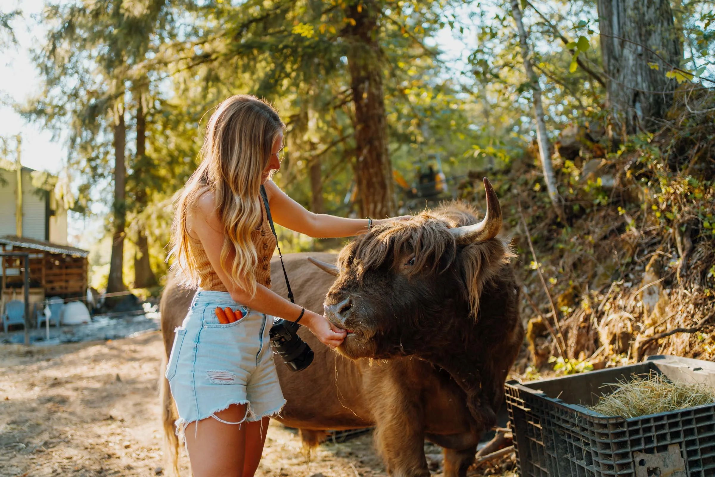 Unique Stay: Rent this Two-Story Container Home in Washington — Wander ...