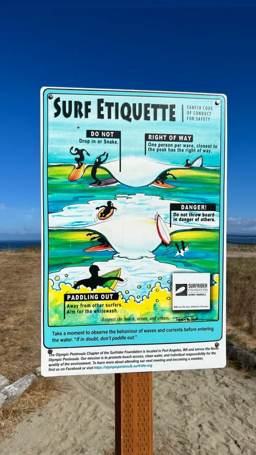 The Ultimate Guide to Surfing in Washington: The Best Washington Surf ...