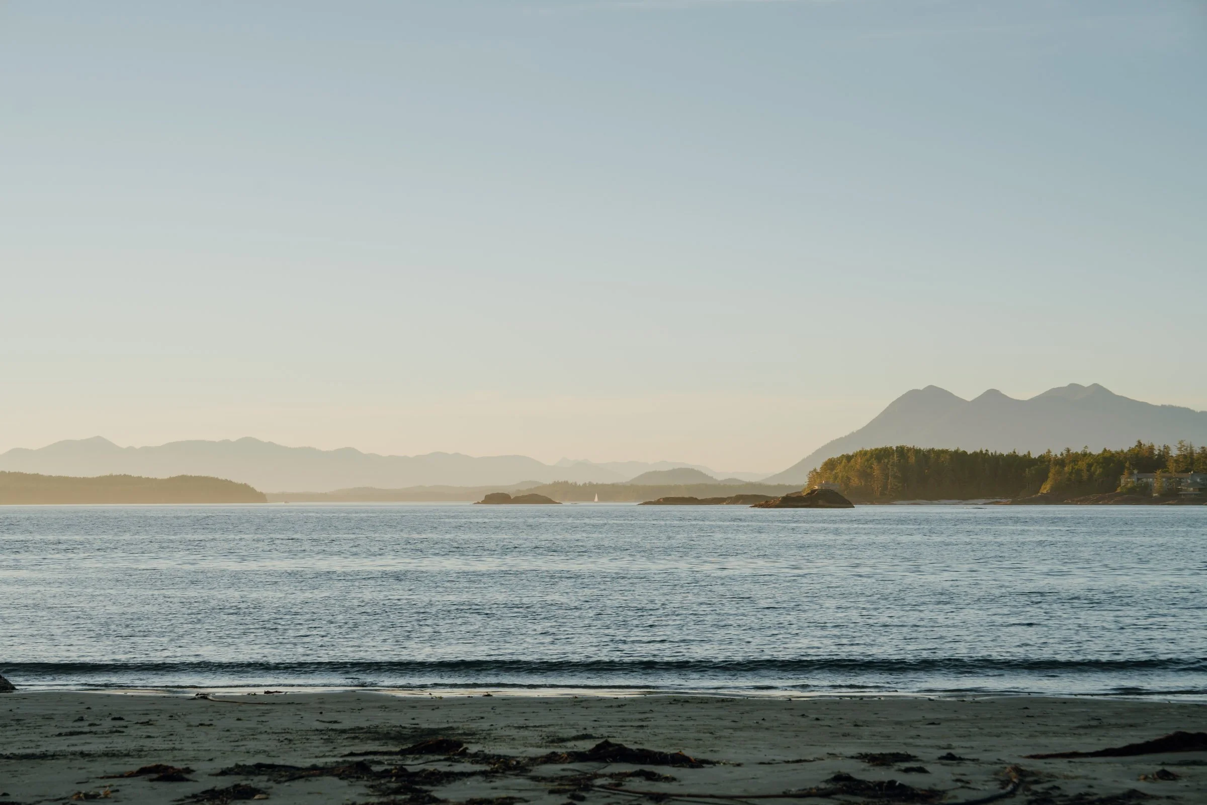 Victoria to Tofino: Things to Do in Tofino and Where to Stop Along the ...