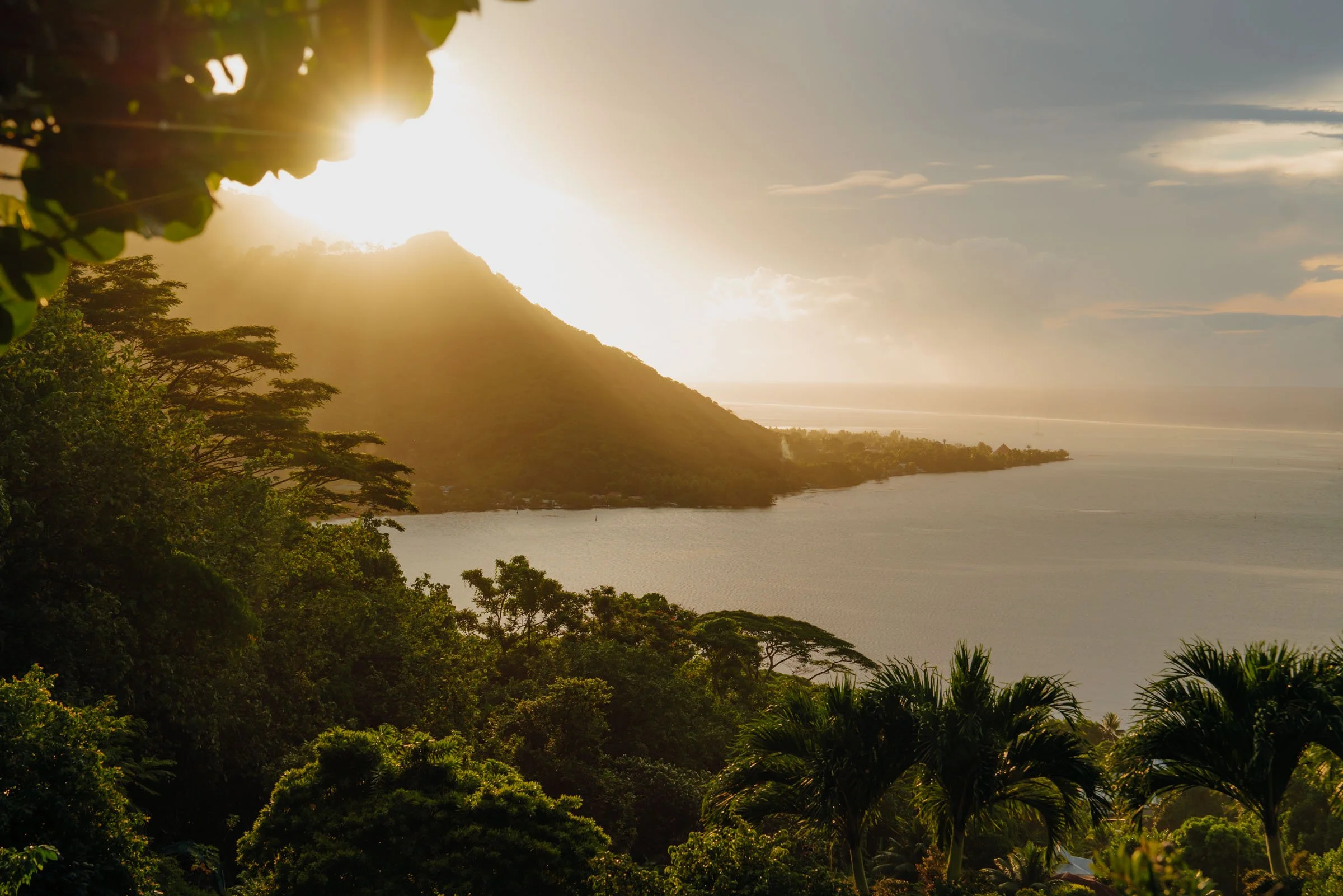 The Best Things to do in Moorea — Wander in RAW