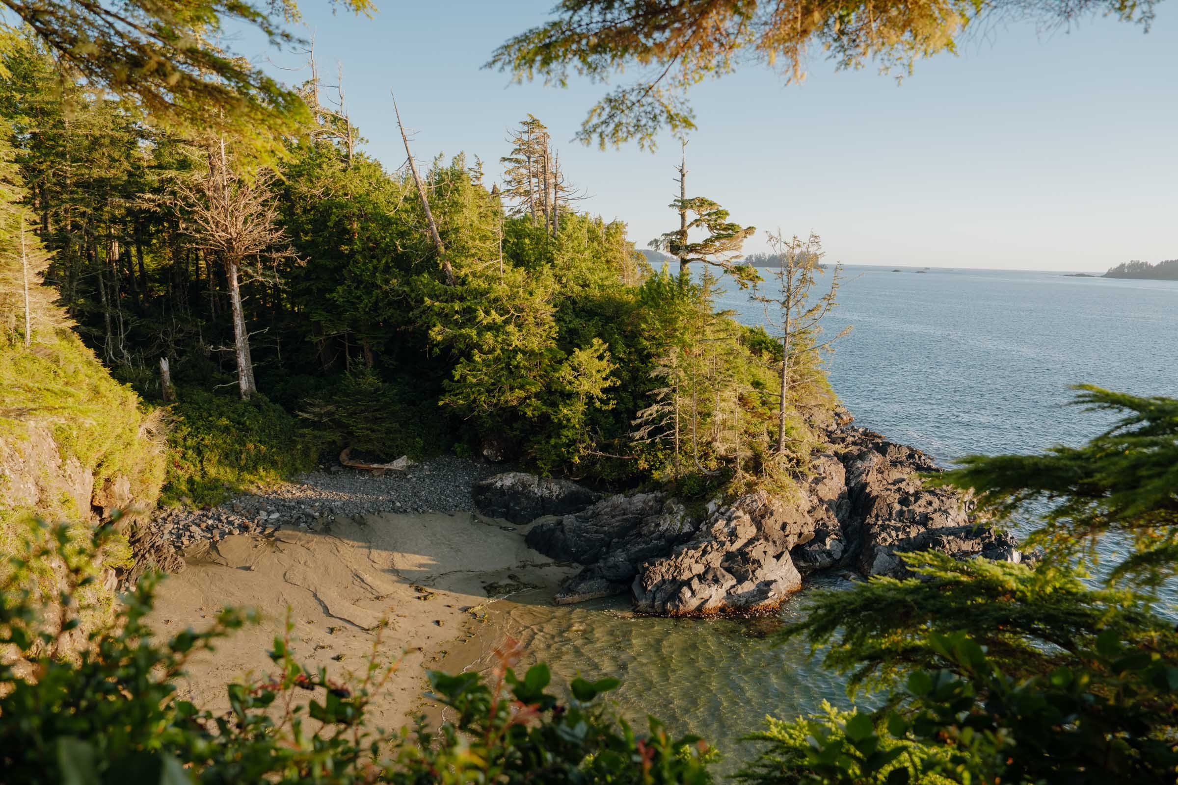 Victoria to Tofino: Things to Do in Tofino and Where to Stop Along the ...