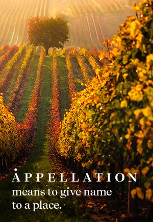 Appellation
