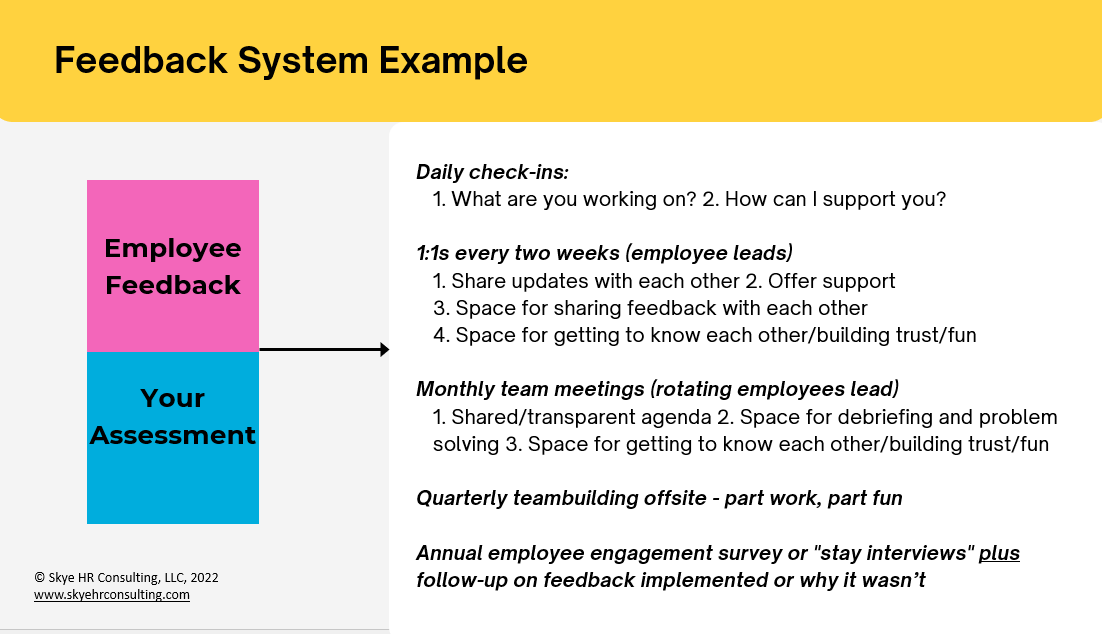 How to Create Systems for Feedback — Skye HR Consulting, LLC