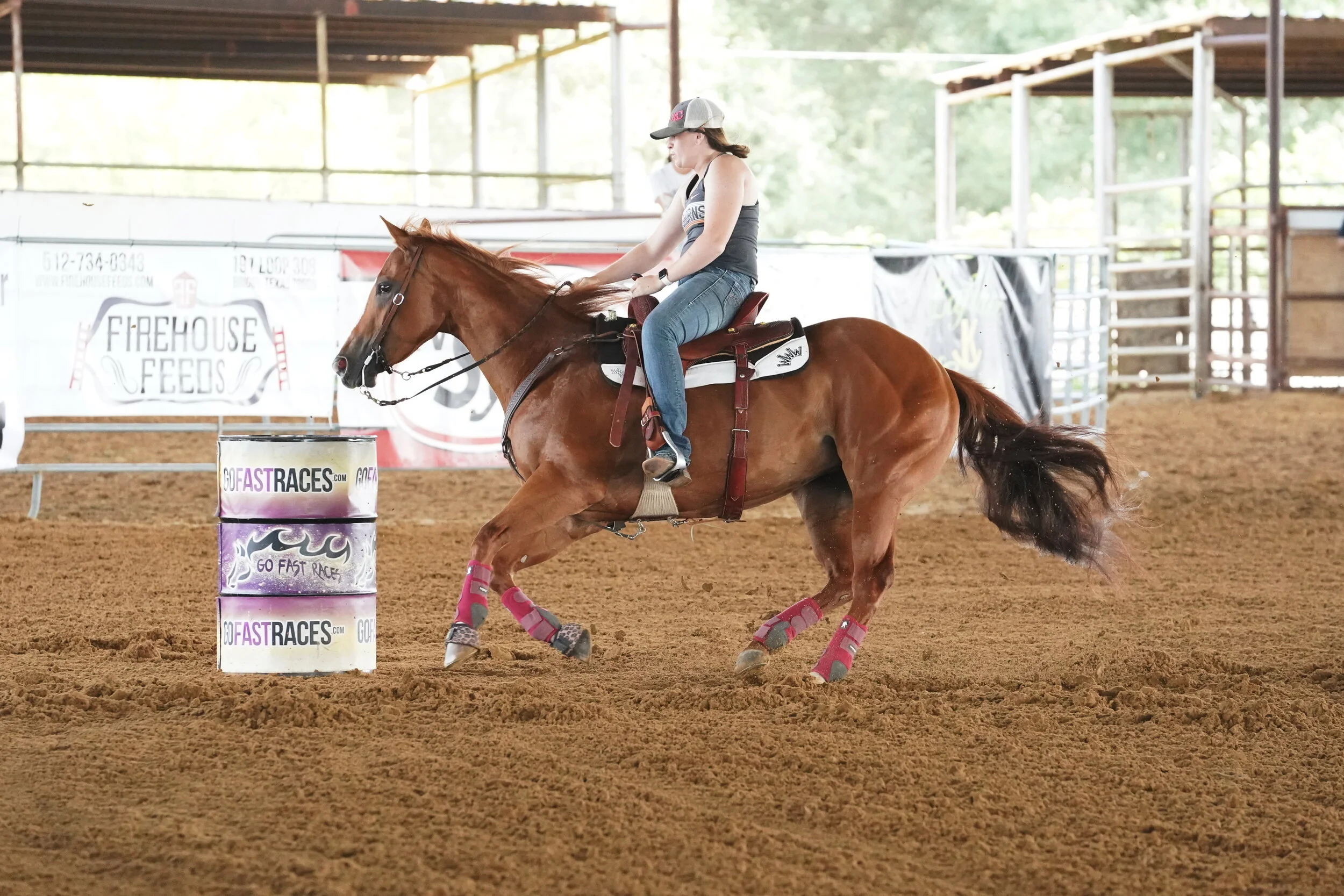 About — Elevated Equine