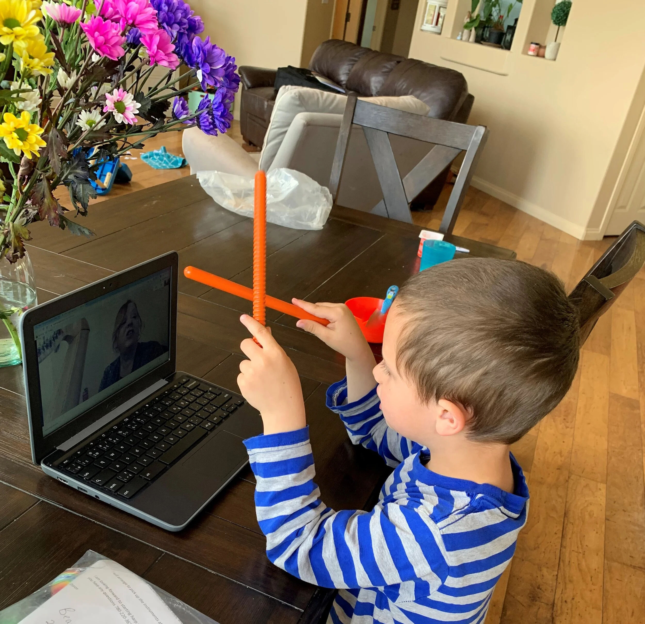 Harp Therapy and Autism or communication delays. — Harp Therapy Connections