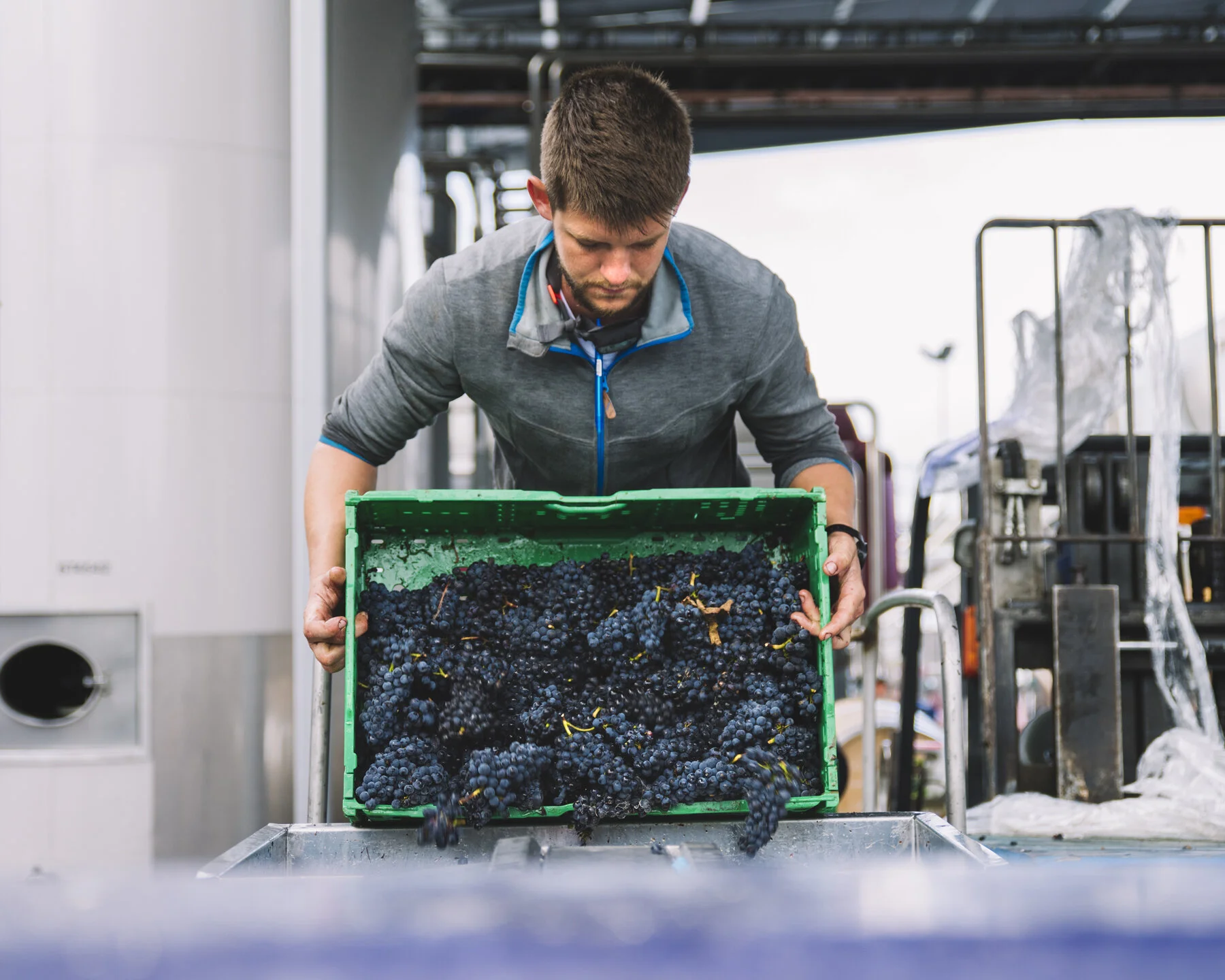 Spring Creek Vintners - Career Opportunities - Marlborough, NZ