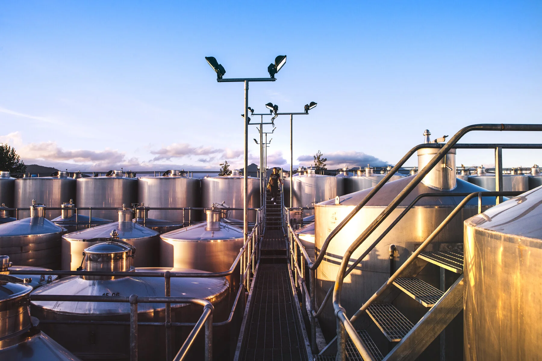 Spring Creek Vintners - Career Opportunities - Marlborough, NZ