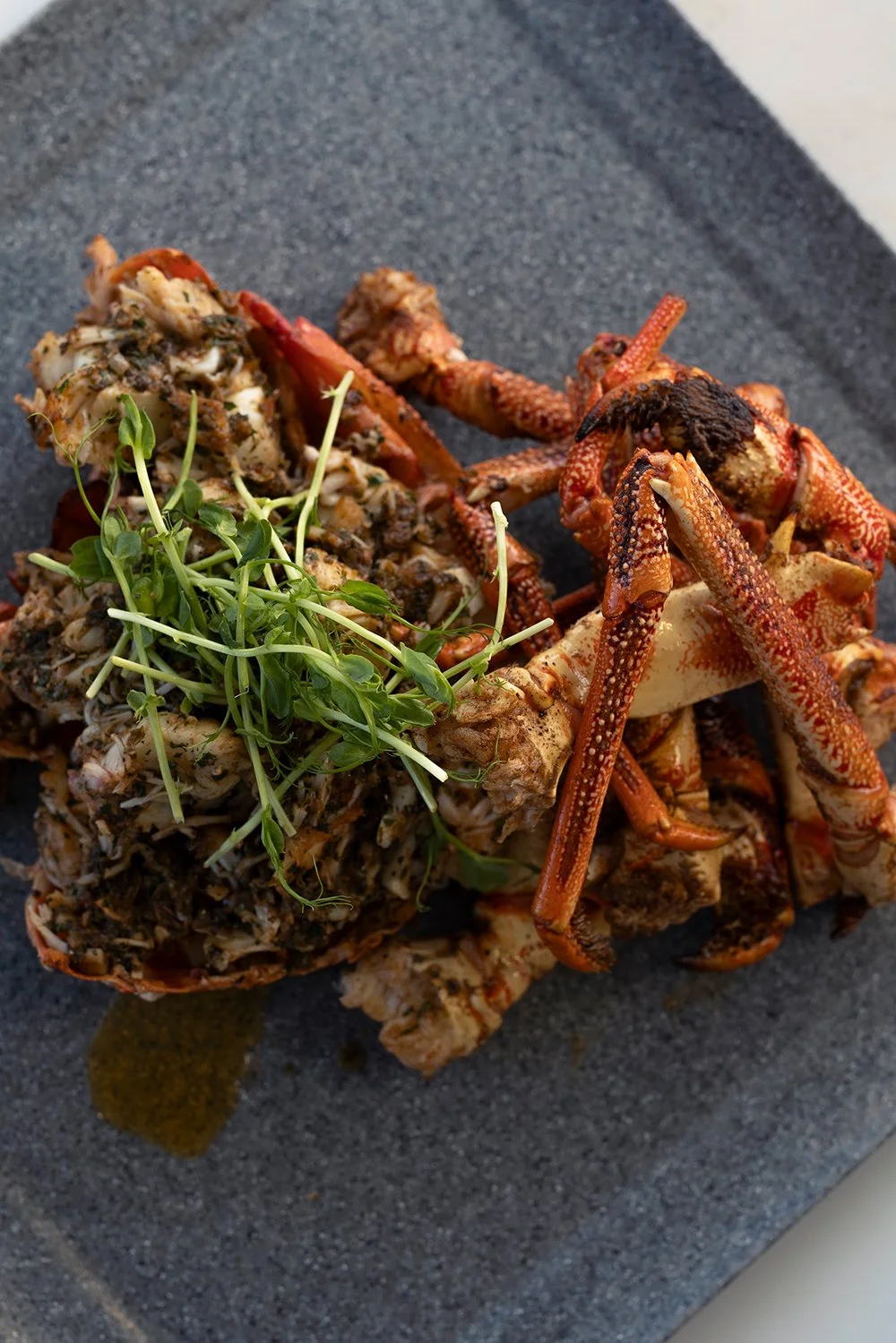 FRESH ROCK LOBSTER — Left Off the Map