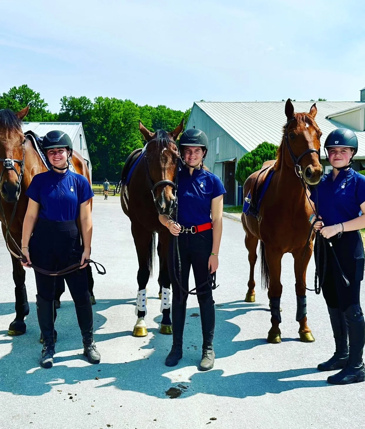 Horseback Riding Lessons — Morningside Stables, LLC