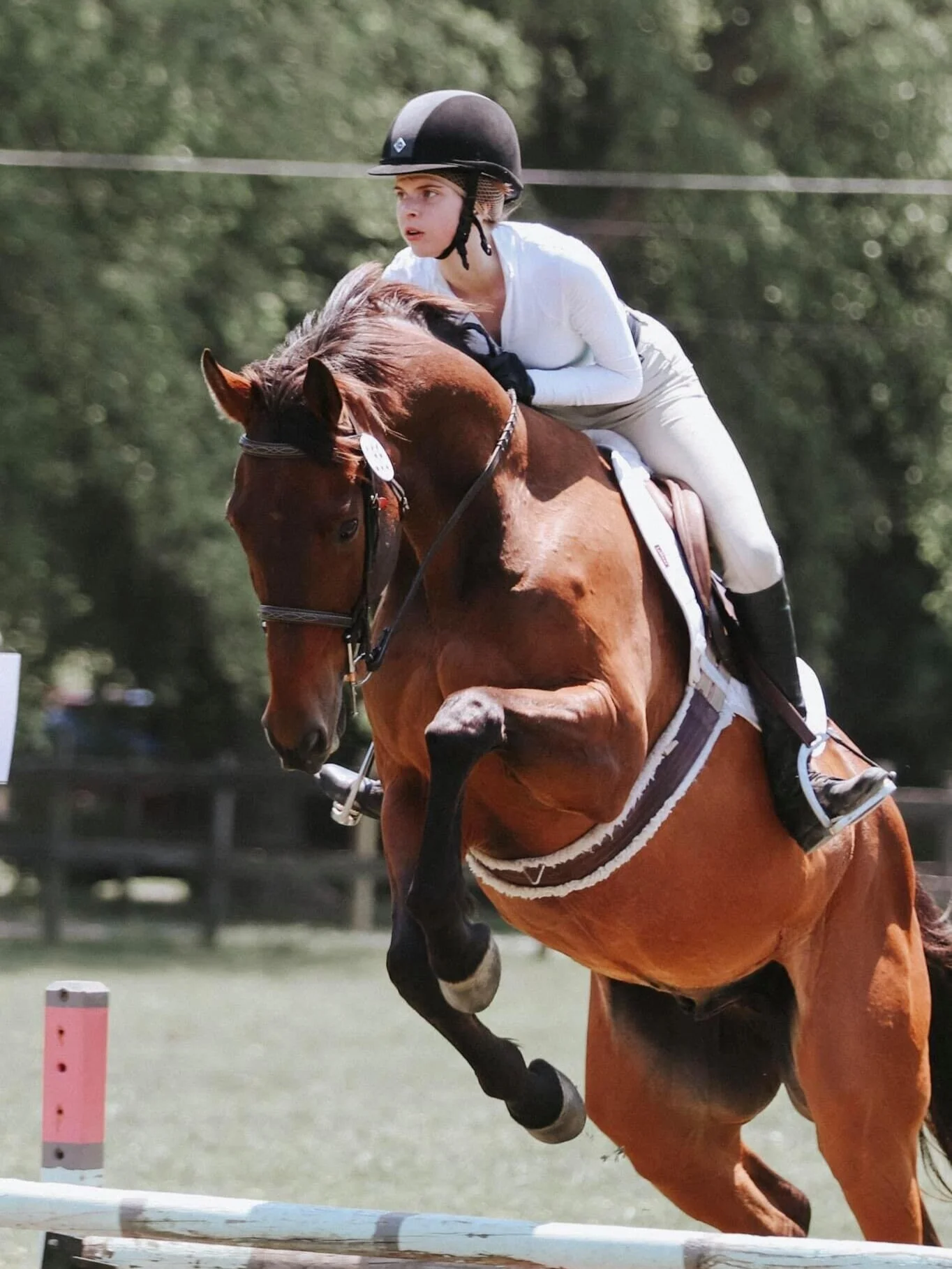 Horseback Riding Lessons — Morningside Stables, LLC