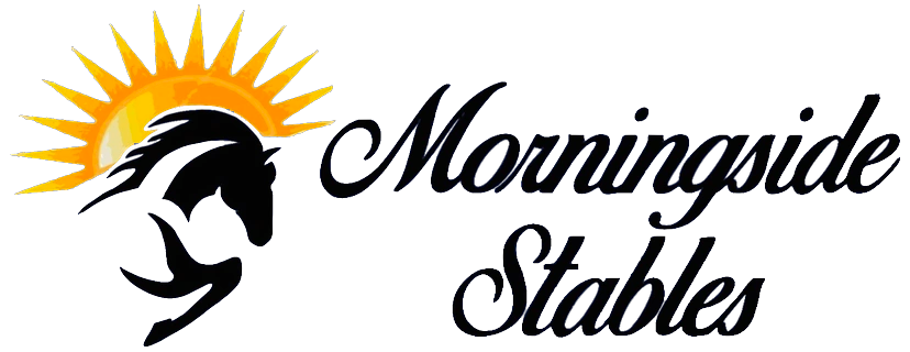 Horseback Riding Lessons — Morningside Stables, LLC