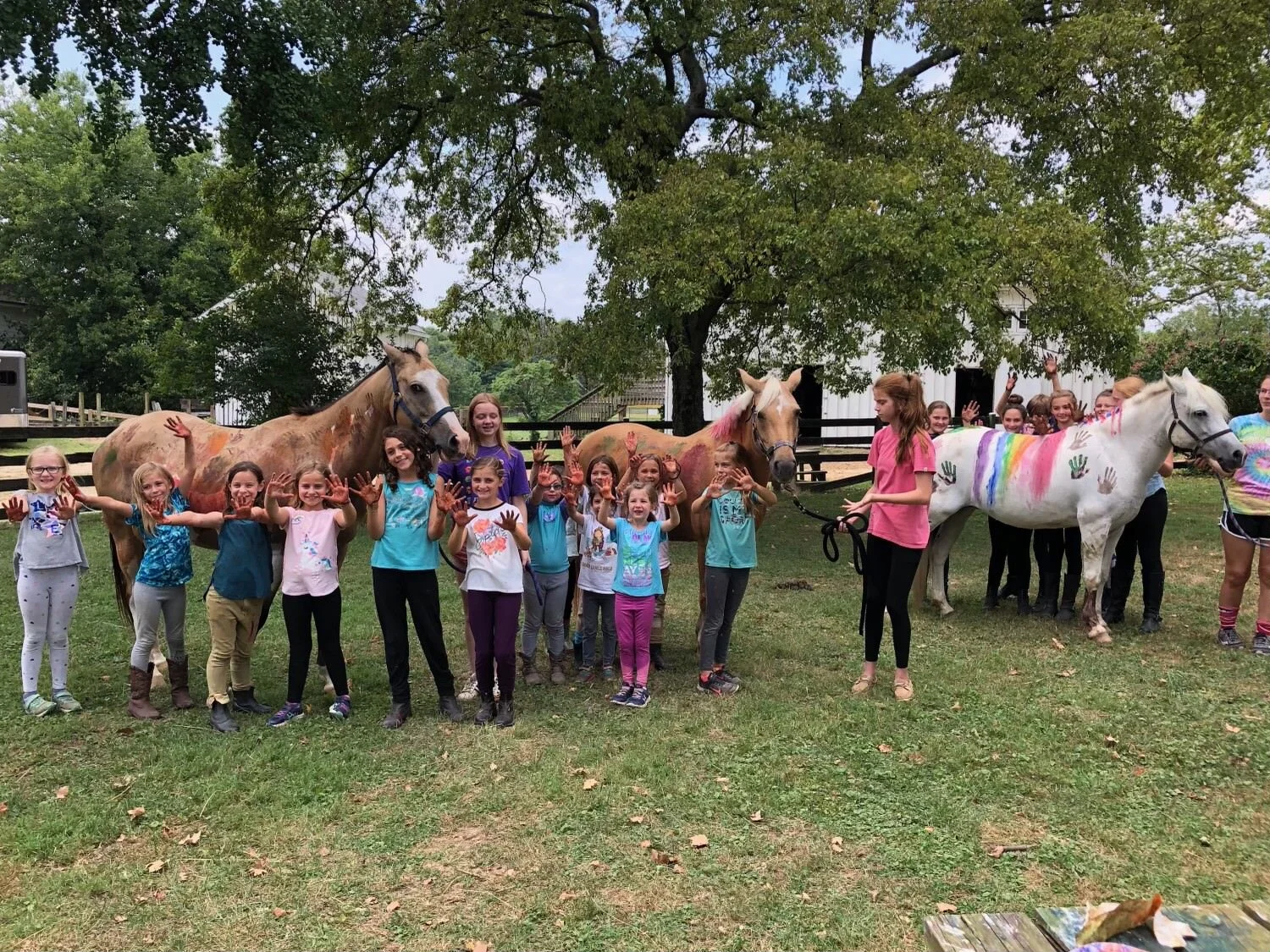 Summer Camp — Morningside Stables, LLC