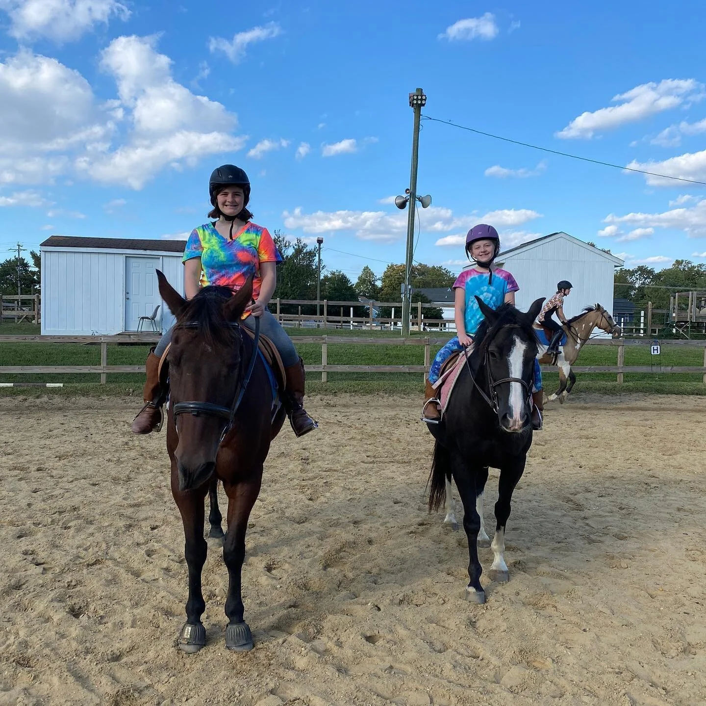 Horseback Riding Lessons — Morningside Stables, LLC