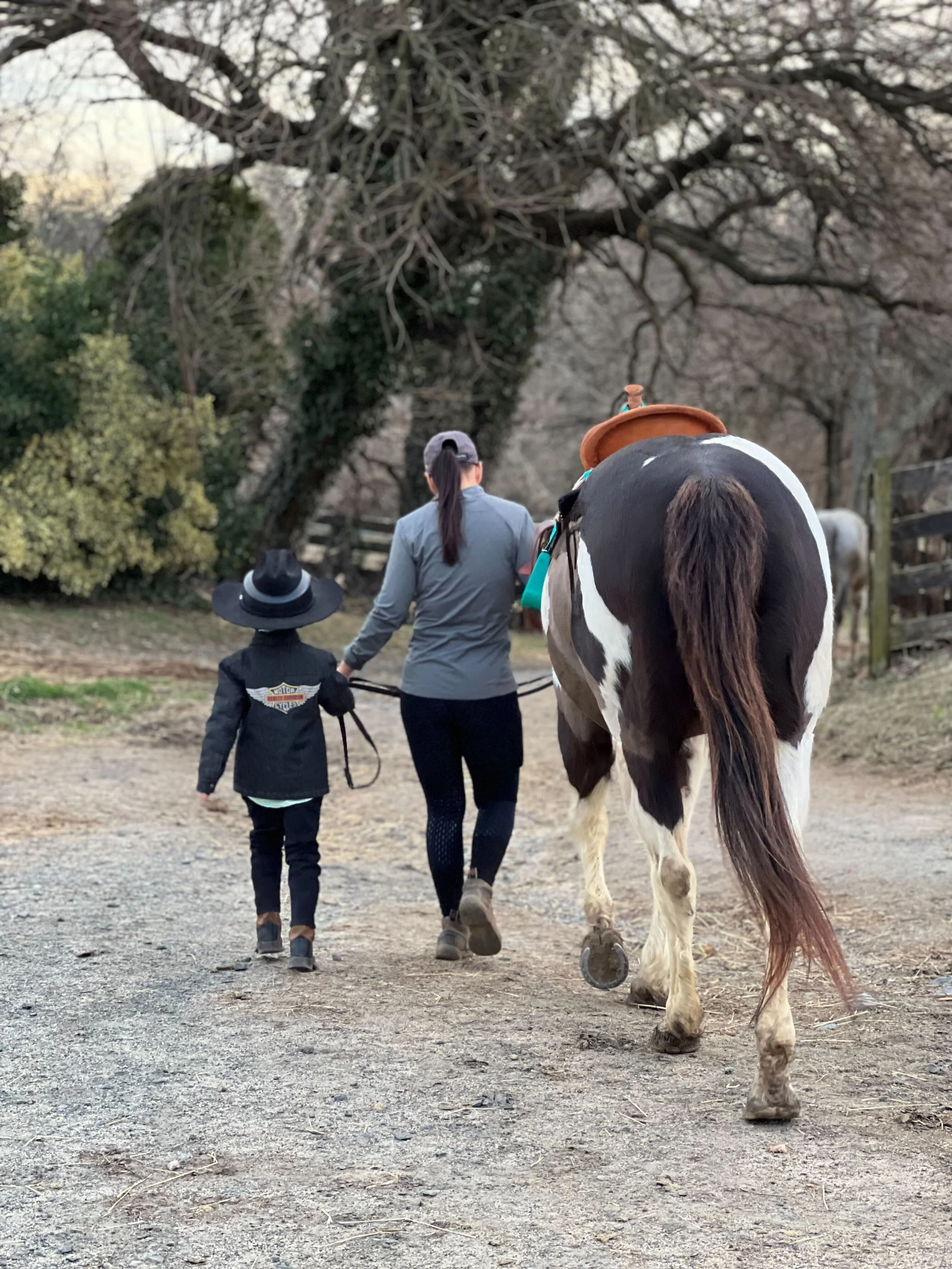 Horseback Riding Lessons — Morningside Stables, LLC