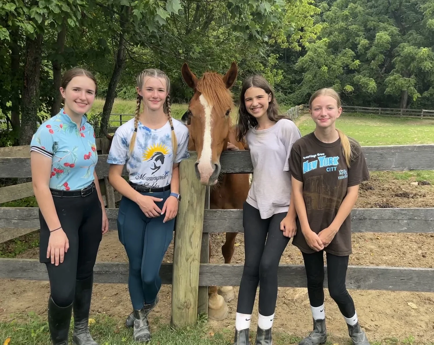 Summer Camp — Morningside Stables, LLC