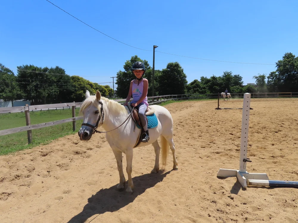 Summer Camp — Morningside Stables, LLC