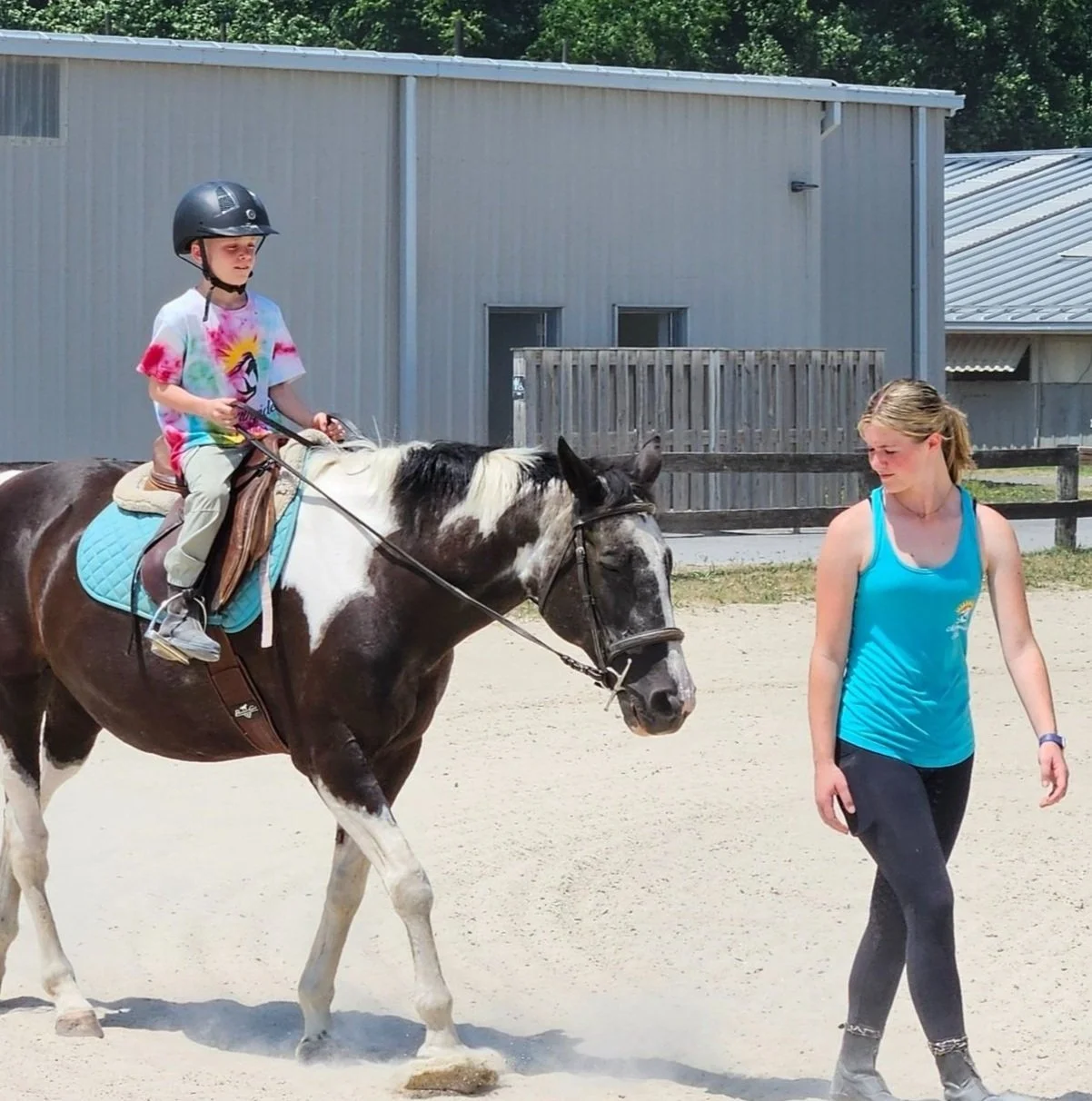 Horseback Riding Lessons — Morningside Stables, LLC