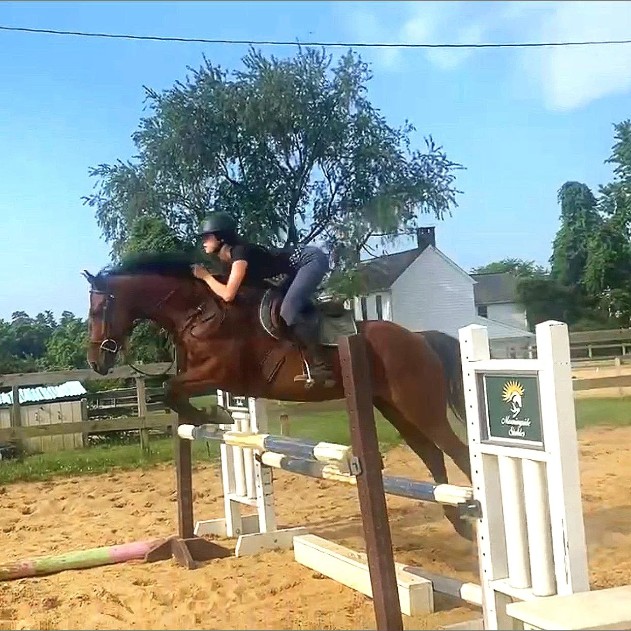 Horseback Riding Lessons — Morningside Stables, LLC