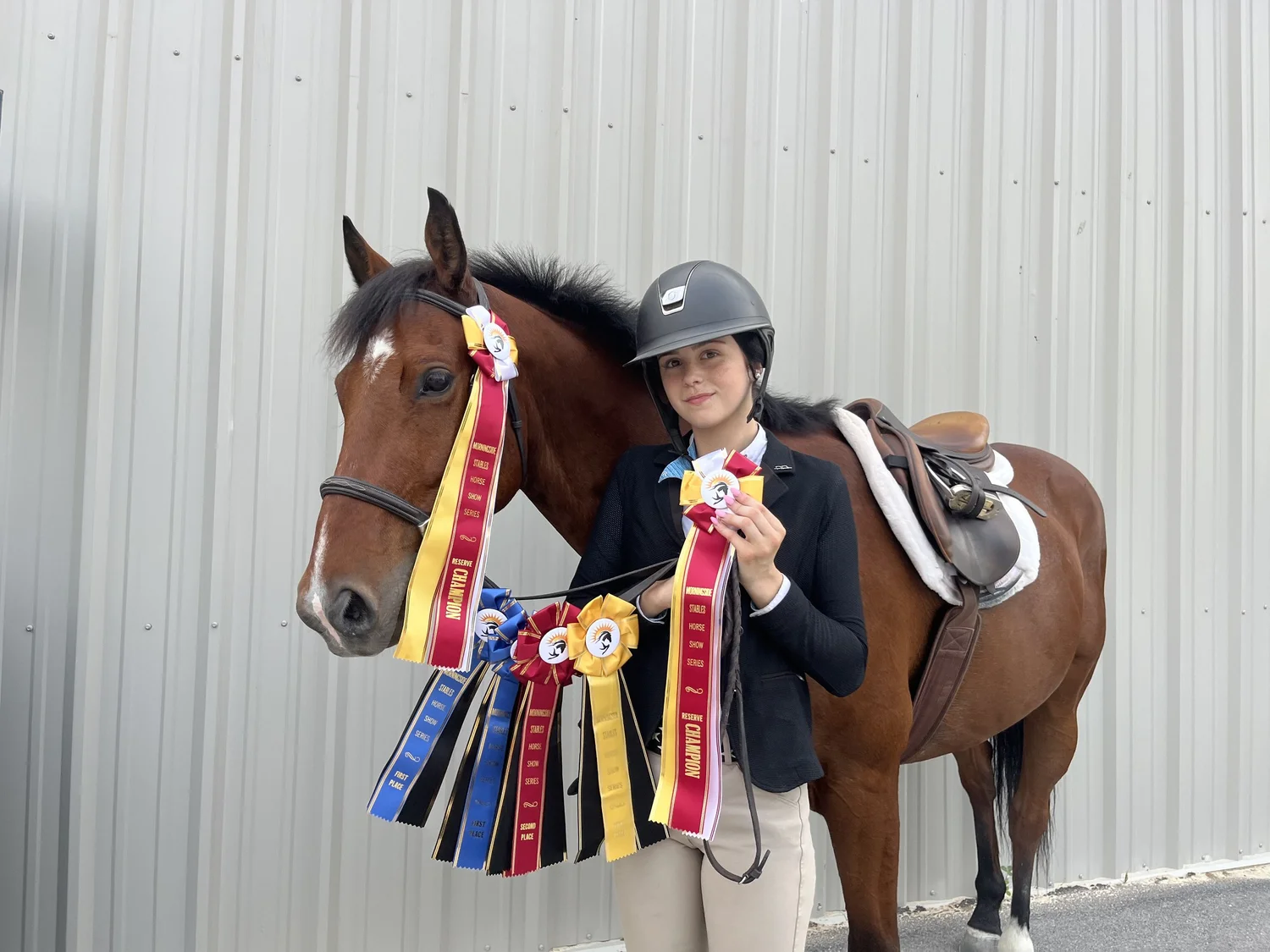 Horseback Riding Lessons — Morningside Stables, LLC