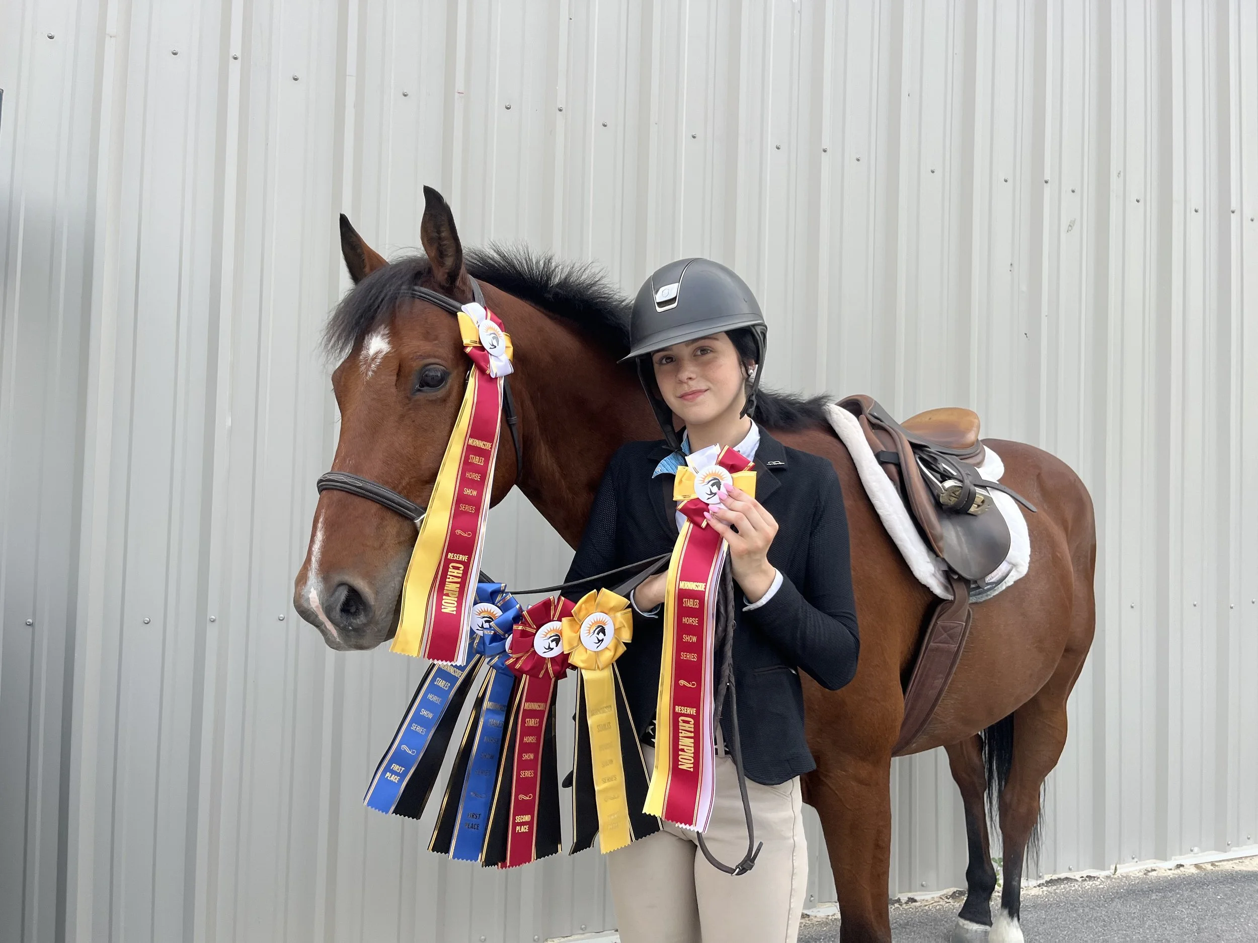 Horseback Riding Lessons — Morningside Stables, LLC