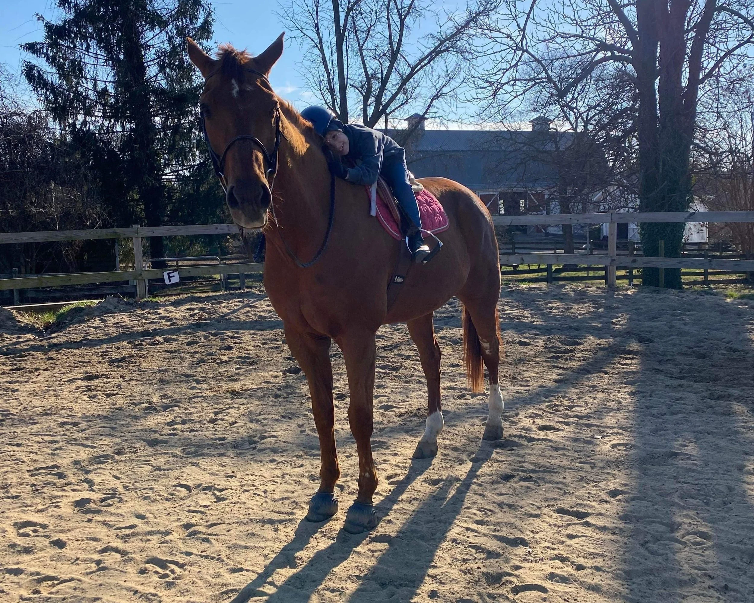 Horseback Riding Lessons — Morningside Stables, LLC