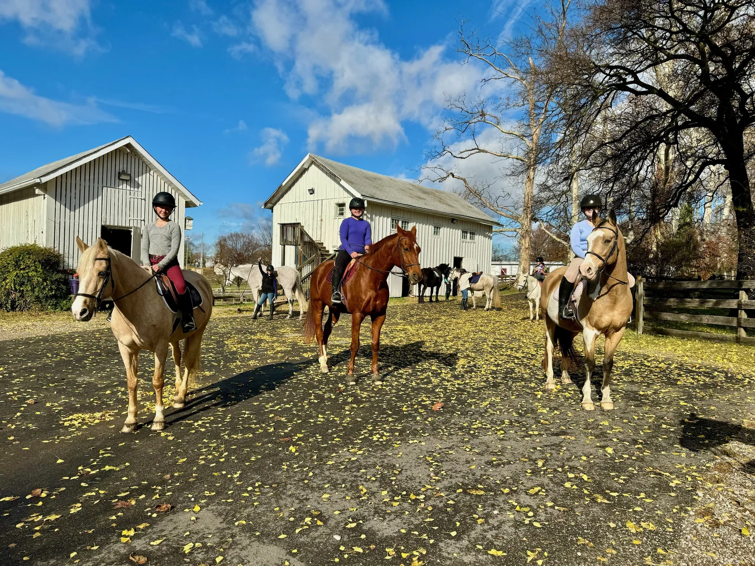 Summer Camp — Morningside Stables, LLC