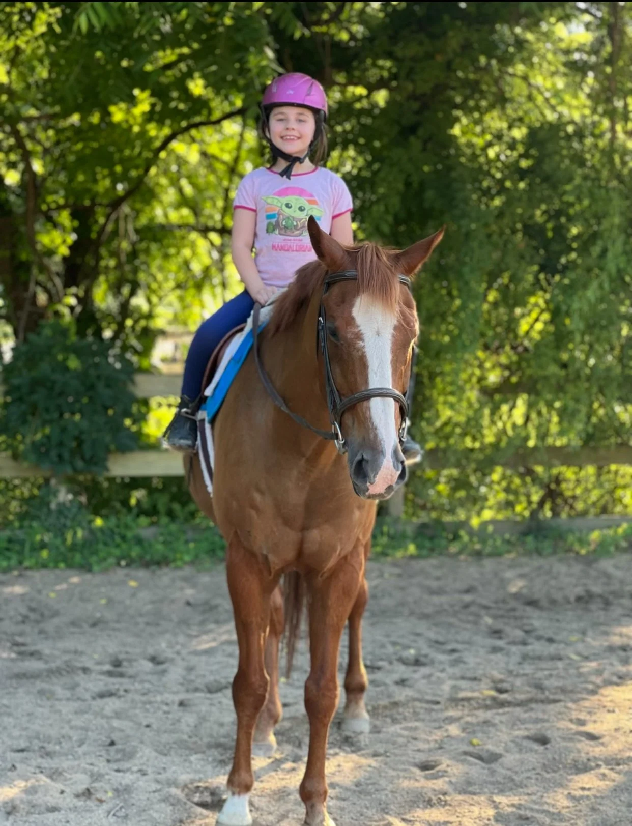 Summer Camp — Morningside Stables, LLC