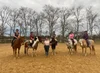 Horseback Riding Lessons — Morningside Stables, LLC