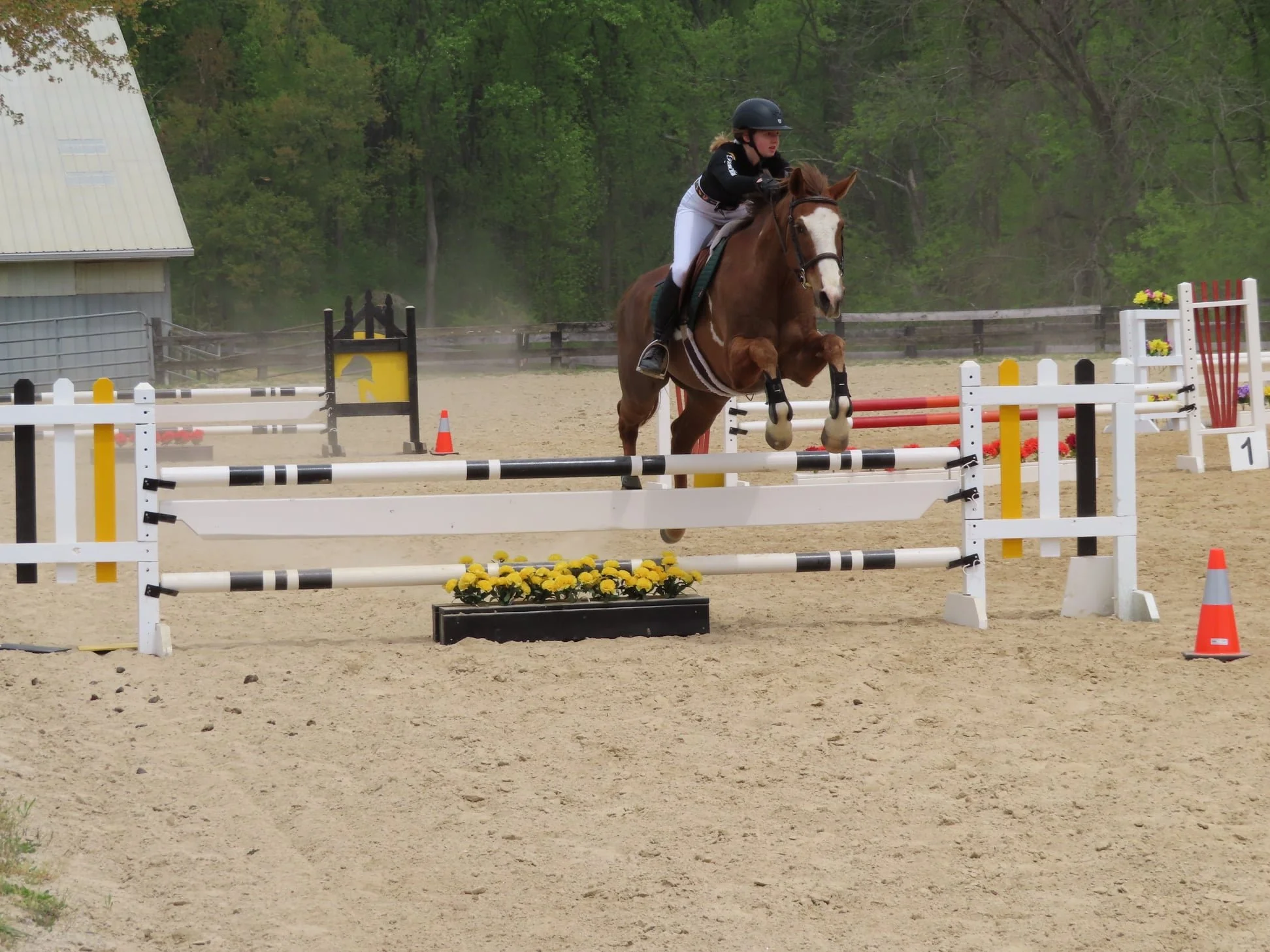 Services 2 — Morningside Stables, LLC