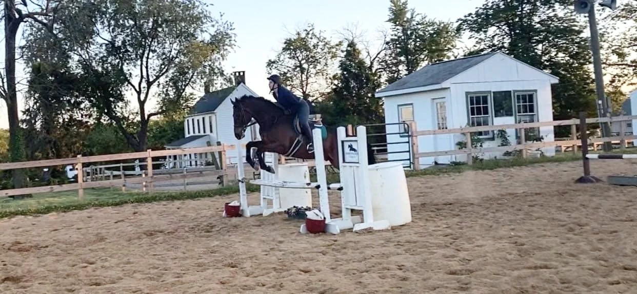 Client Portal — Morningside Stables, LLC