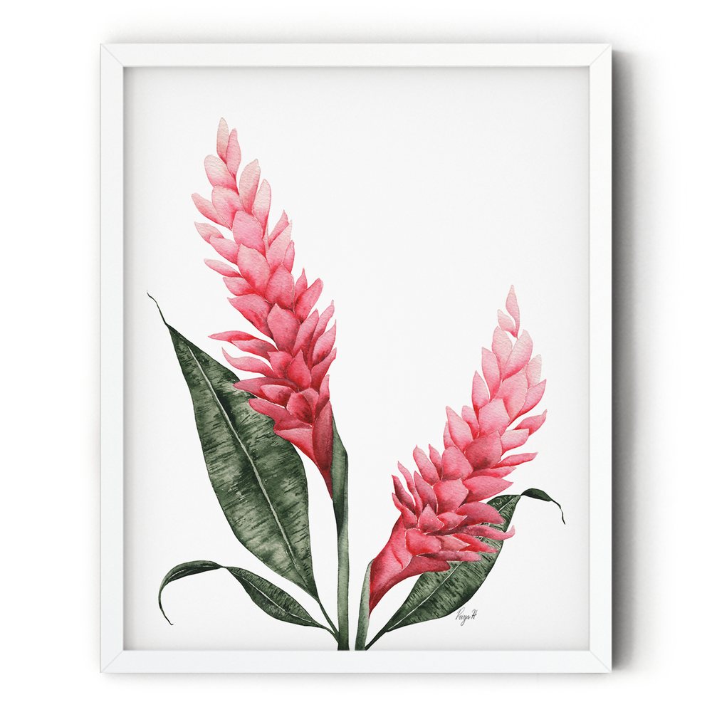 Teuila Flower Drawing | Best Flower Site