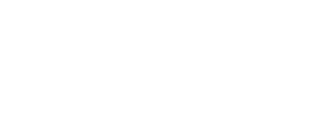 National Standards of Practice — NASASV