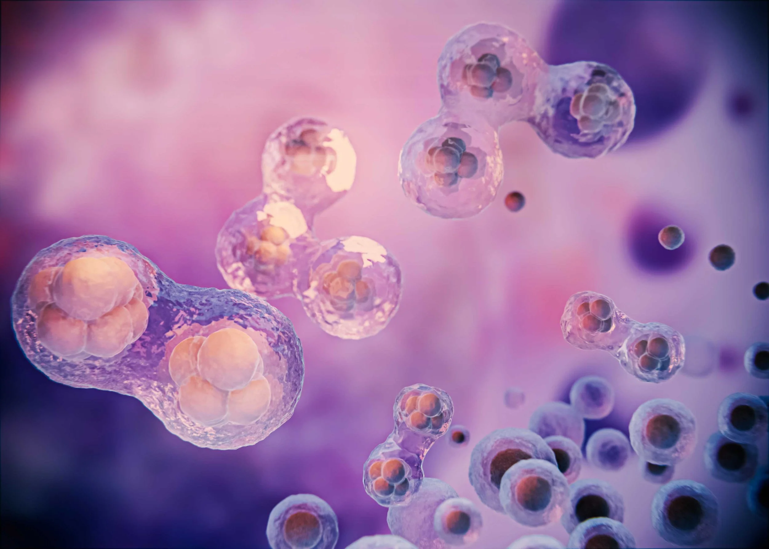 Sydney Fertility and IVF Clinic — Dr Naim Arrage and Dr Greg Jenkins ...